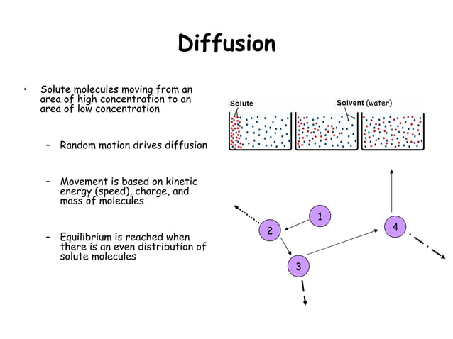 Ppt diffusion and osmosis | PPT | Chemistry | Science