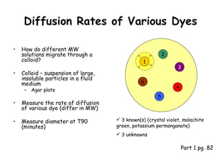 Ppt diffusion and osmosis | PPT
