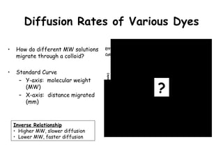 Ppt diffusion and osmosis | PPT
