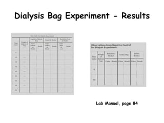 Ppt diffusion and osmosis | PPT