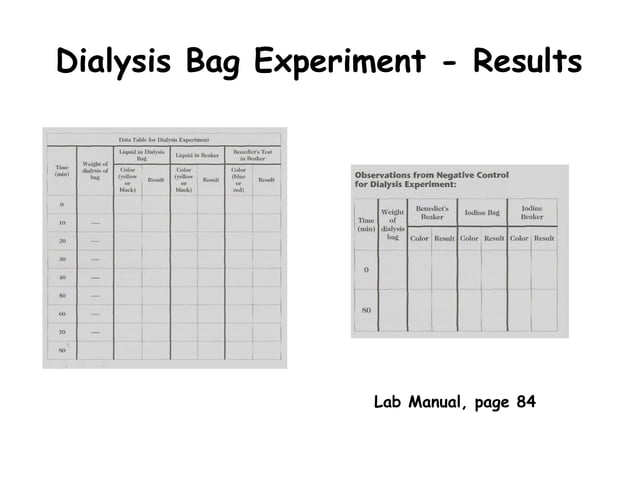 Ppt diffusion and osmosis | PPT | Chemistry | Science