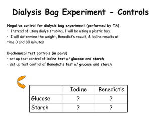 Ppt diffusion and osmosis | PPT