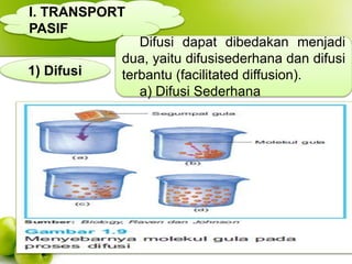 Ppt difusi.pptx