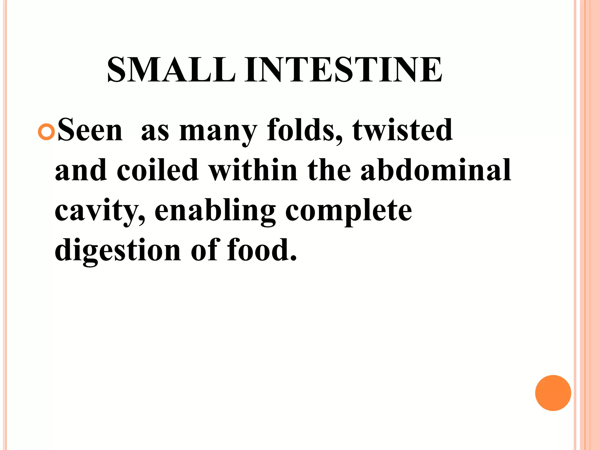 Ppt digestive system | PPT