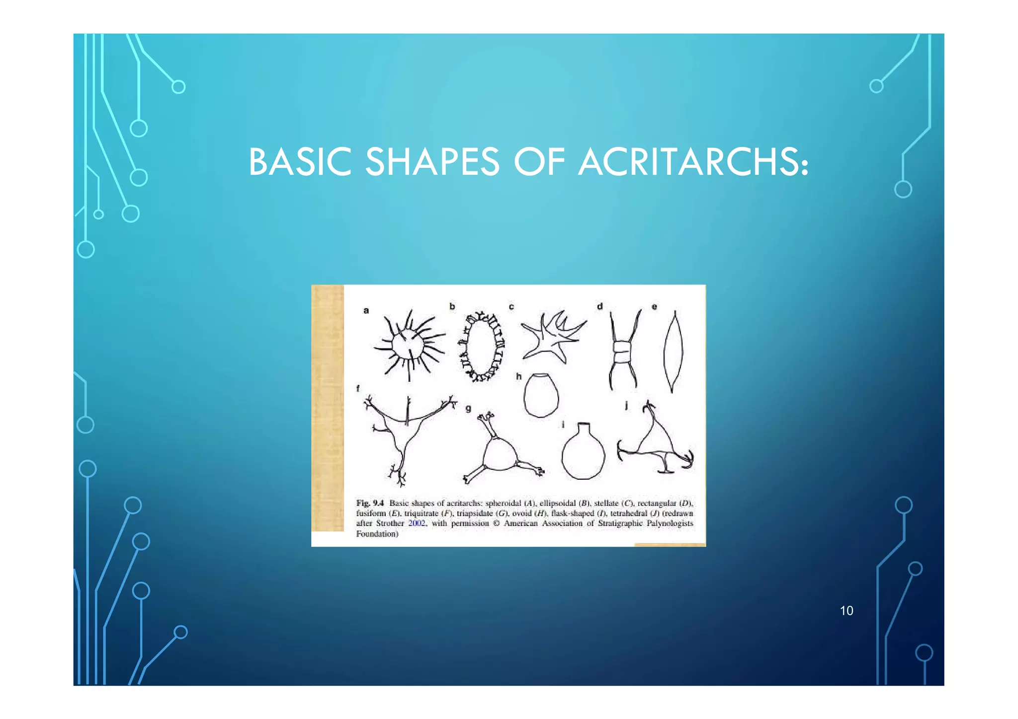 Organic Acritarch's & Dinoflagellates | PDF