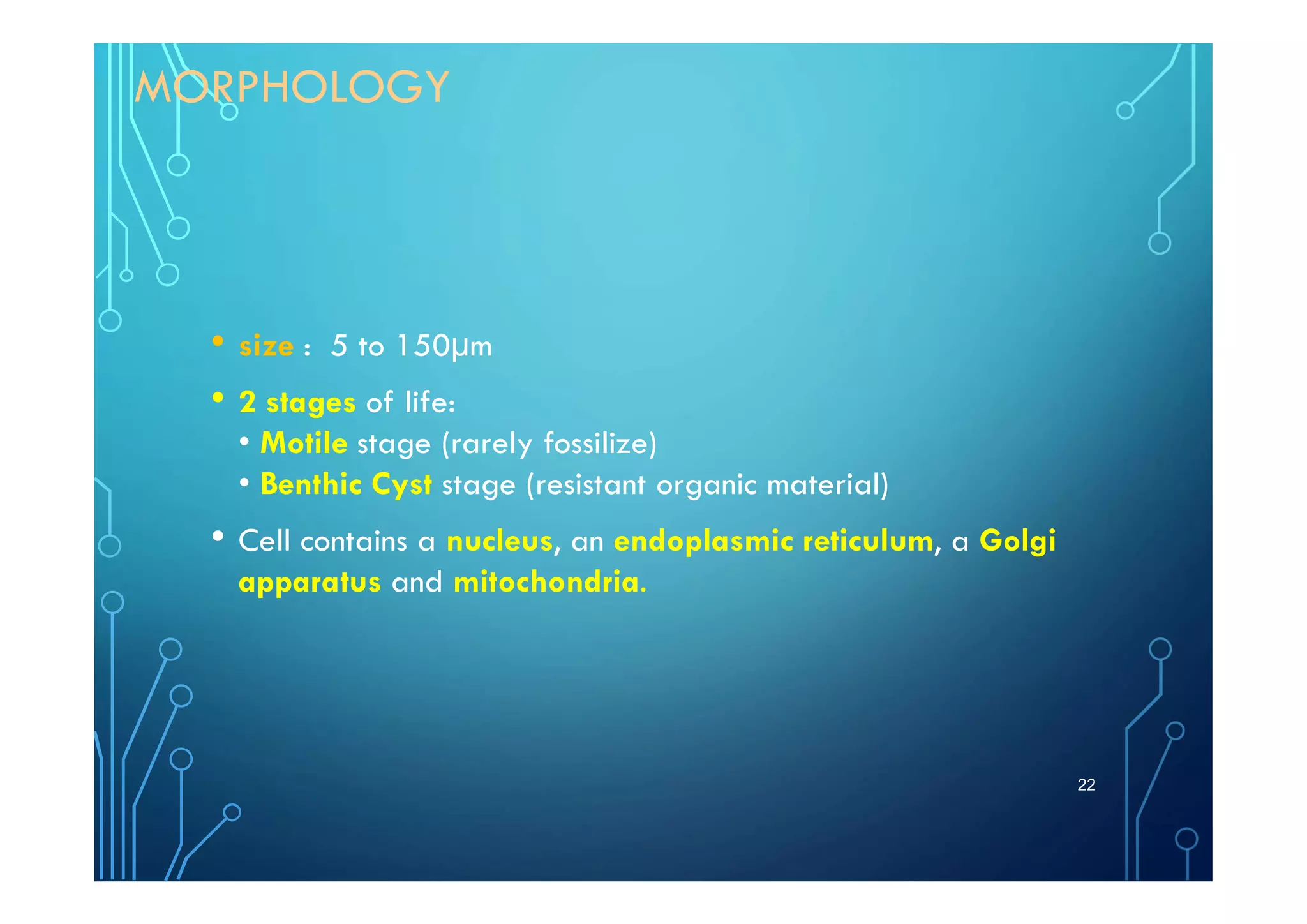 Organic Acritarch's & Dinoflagellates | PDF