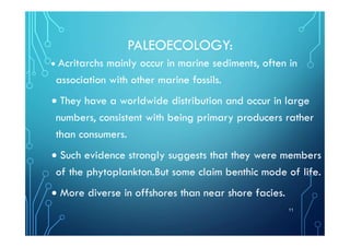 Organic Acritarch's & Dinoflagellates | PDF