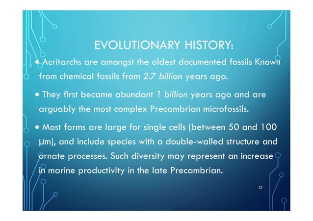 Organic Acritarch's & Dinoflagellates | PDF | Biological Sciences | Science