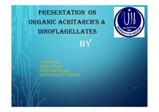 Organic Acritarch's & Dinoflagellates | PDF
