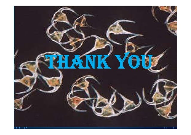 Organic Acritarch's & Dinoflagellates | PDF | Biological Sciences | Science