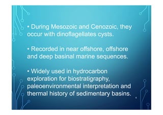 Organic Acritarch's & Dinoflagellates | PDF