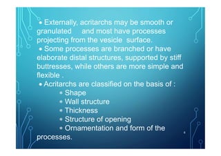 Organic Acritarch's & Dinoflagellates | PDF