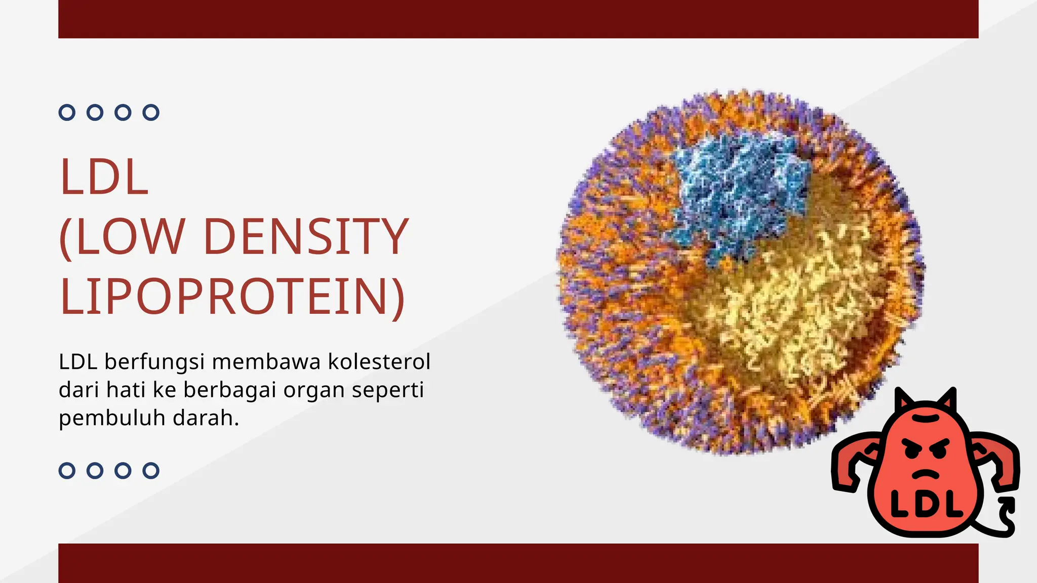 DISLIPIDEMIA Profil Lipid (kolesterol total, HDL, LDL, TG) | PPTX