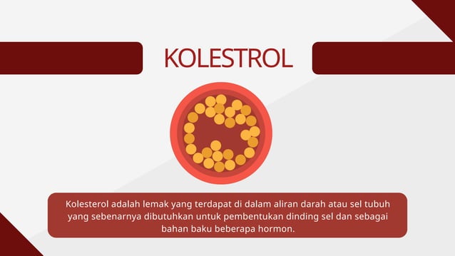 DISLIPIDEMIA Profil Lipid (kolesterol total, HDL, LDL, TG) | PPTX