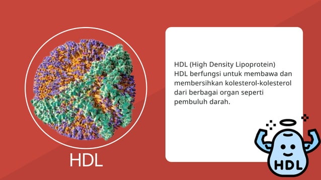 DISLIPIDEMIA Profil Lipid (kolesterol total, HDL, LDL, TG) | PPTX