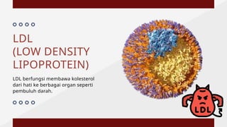 DISLIPIDEMIA Profil Lipid (kolesterol total, HDL, LDL, TG) | PPTX