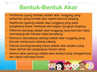 Akar dan Batang Dasar Ilmu Tanaman | PPTX