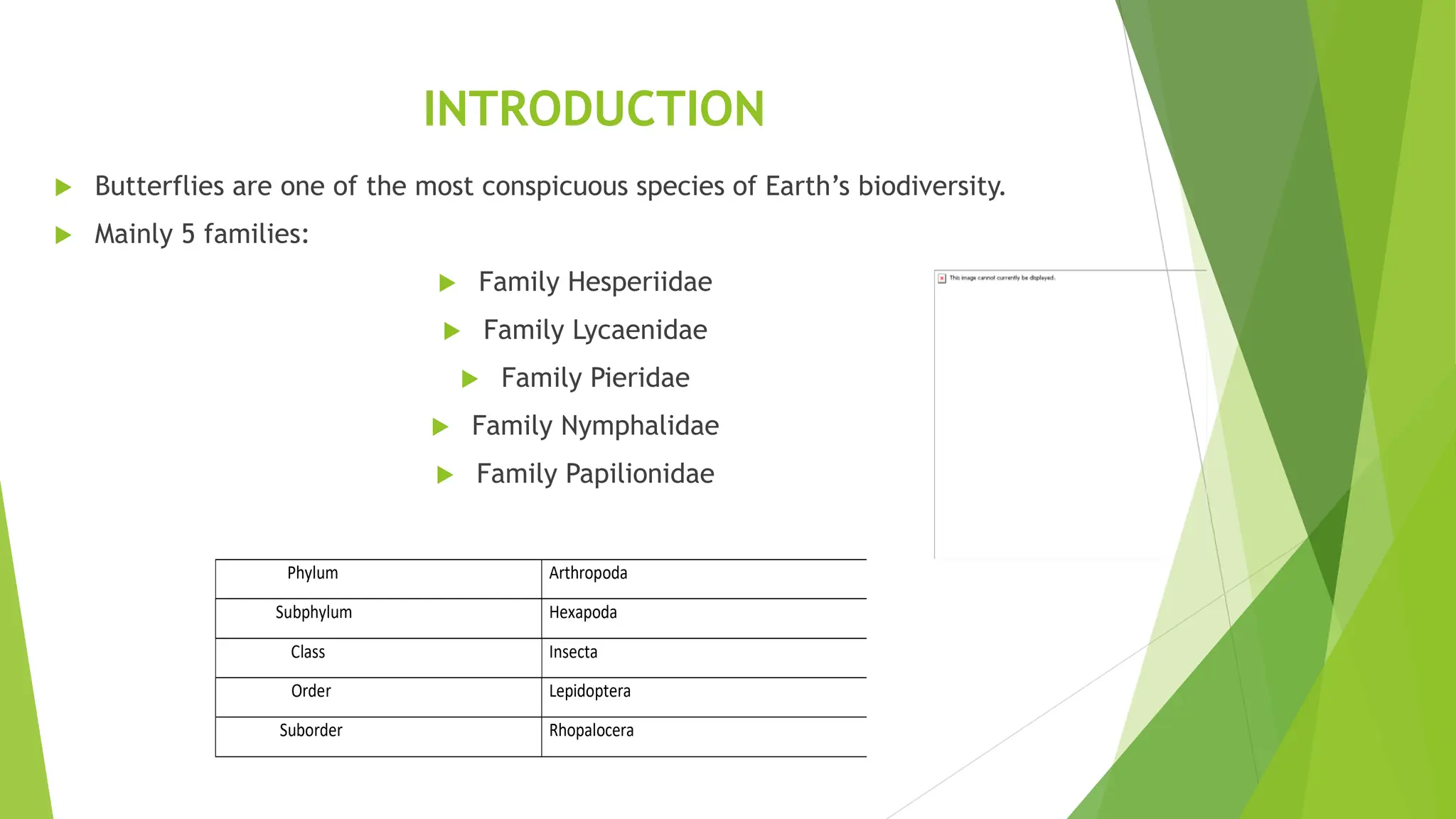 PPT DIVERSITY AND ABUNDANCE OF BUTTERFLIES IN THATTEKKAD BUTTERFLY.pptx