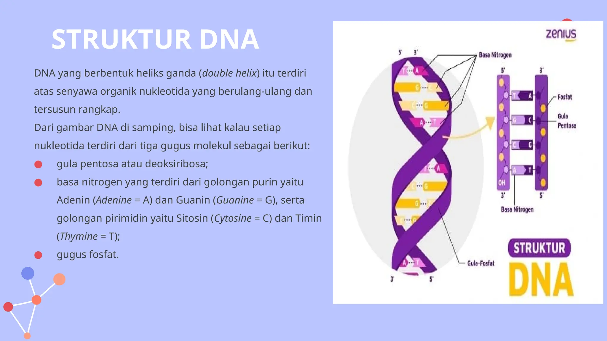 PPT DNA.pptxjfgygtfgvgvgtcgvgvtyfgvrxgjh | PPT