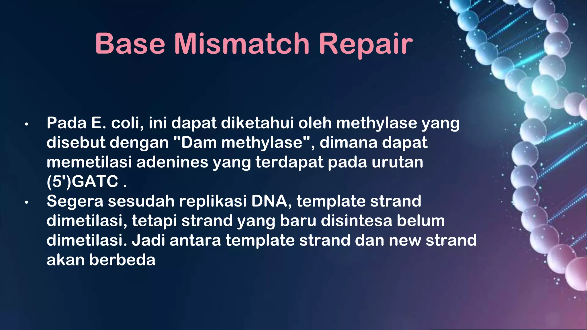 PPT DNA REPAIR.pptx