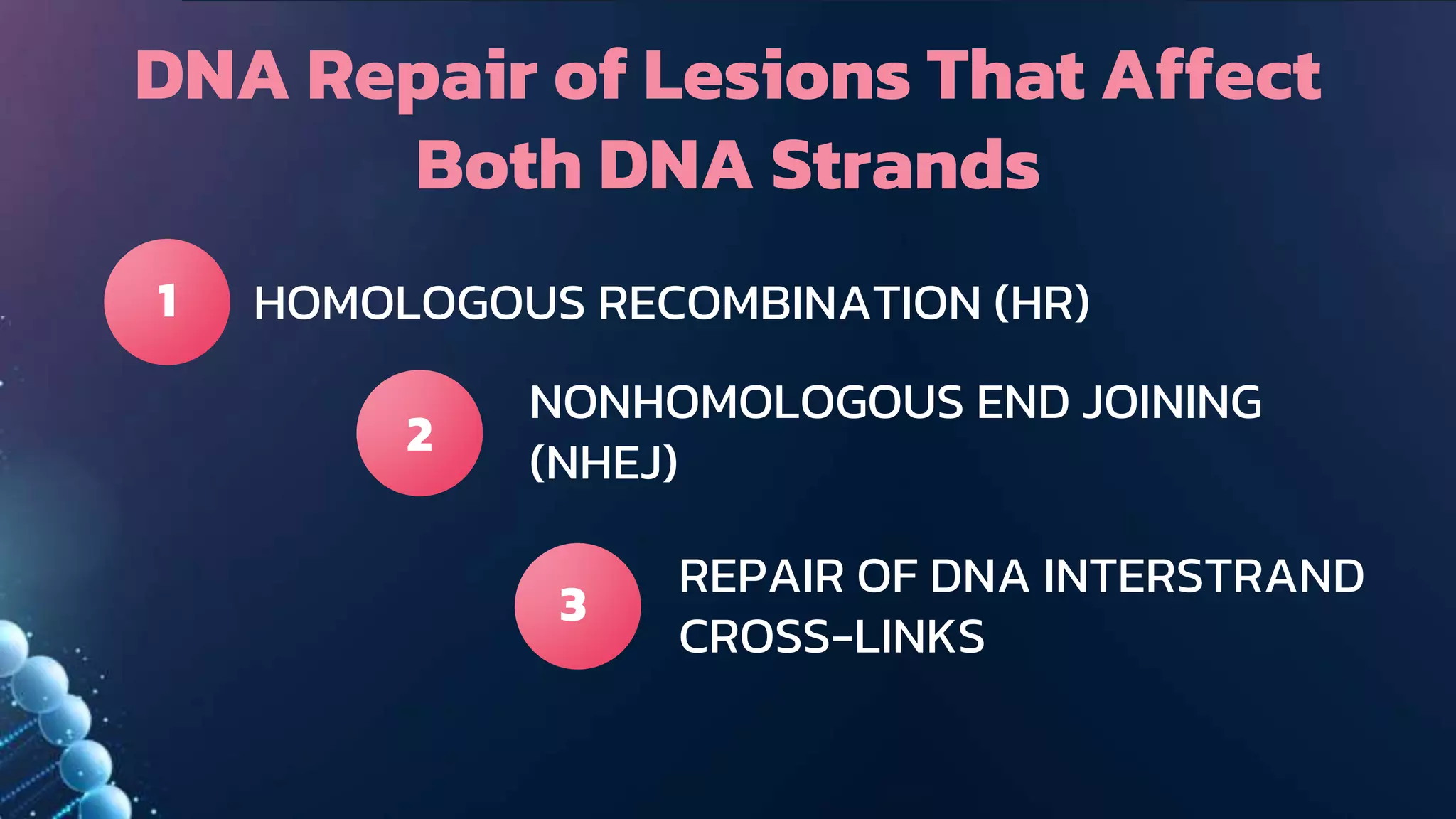 PPT DNA REPAIR.pptx