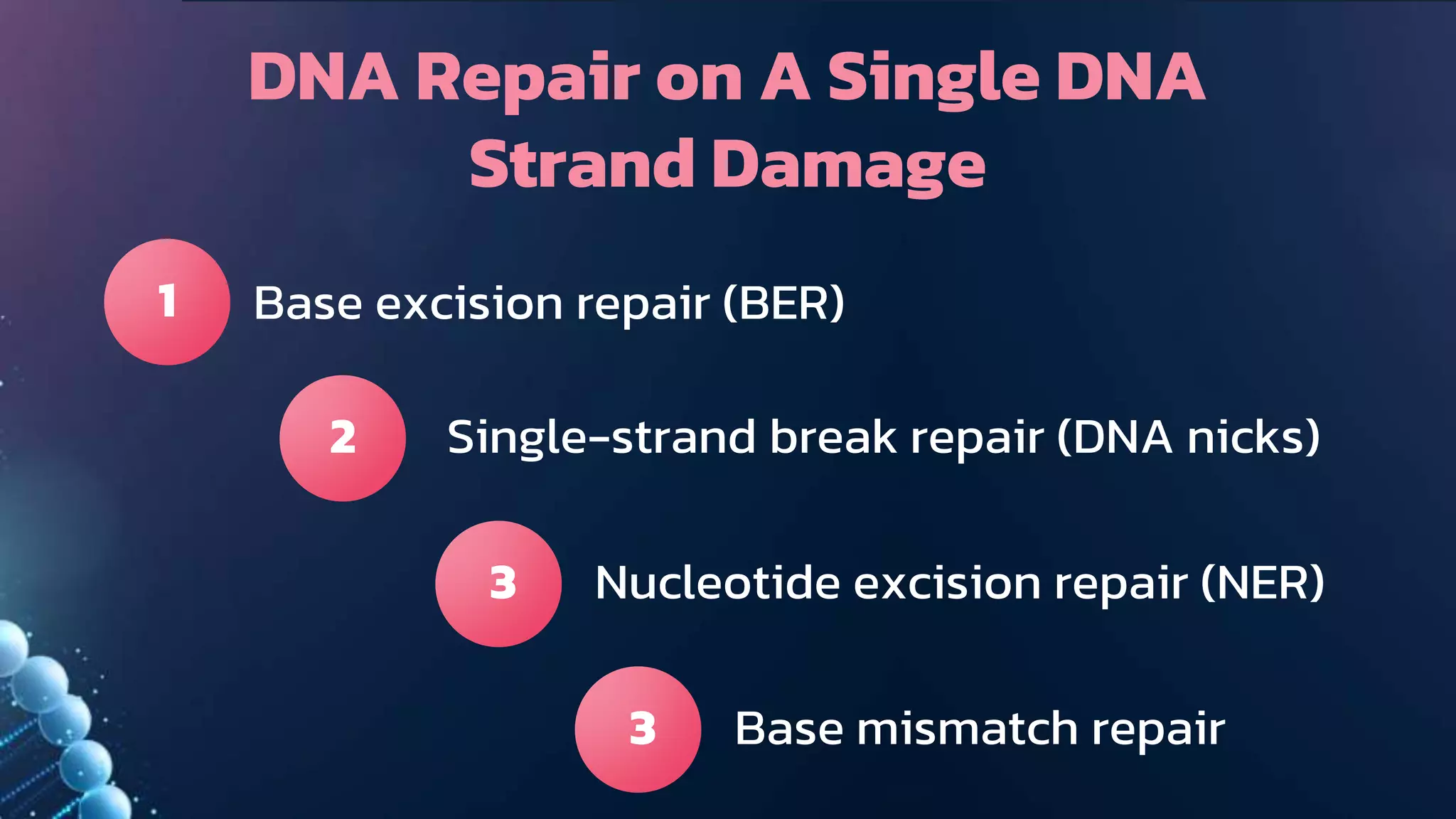 PPT DNA REPAIR.pptx