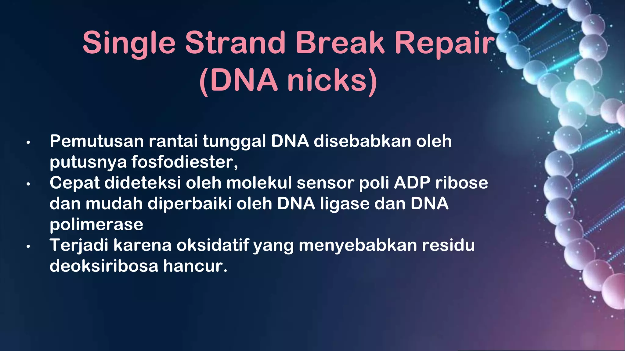 PPT DNA REPAIR.pptx