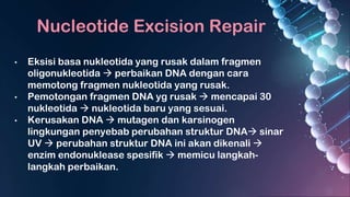 PPT DNA REPAIR.pptx