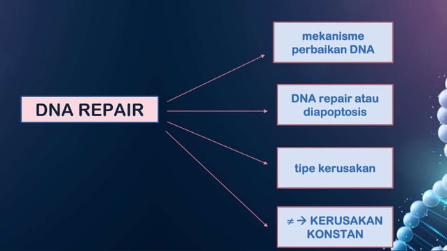 PPT DNA REPAIR.pptx