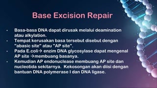 PPT DNA REPAIR.pptx