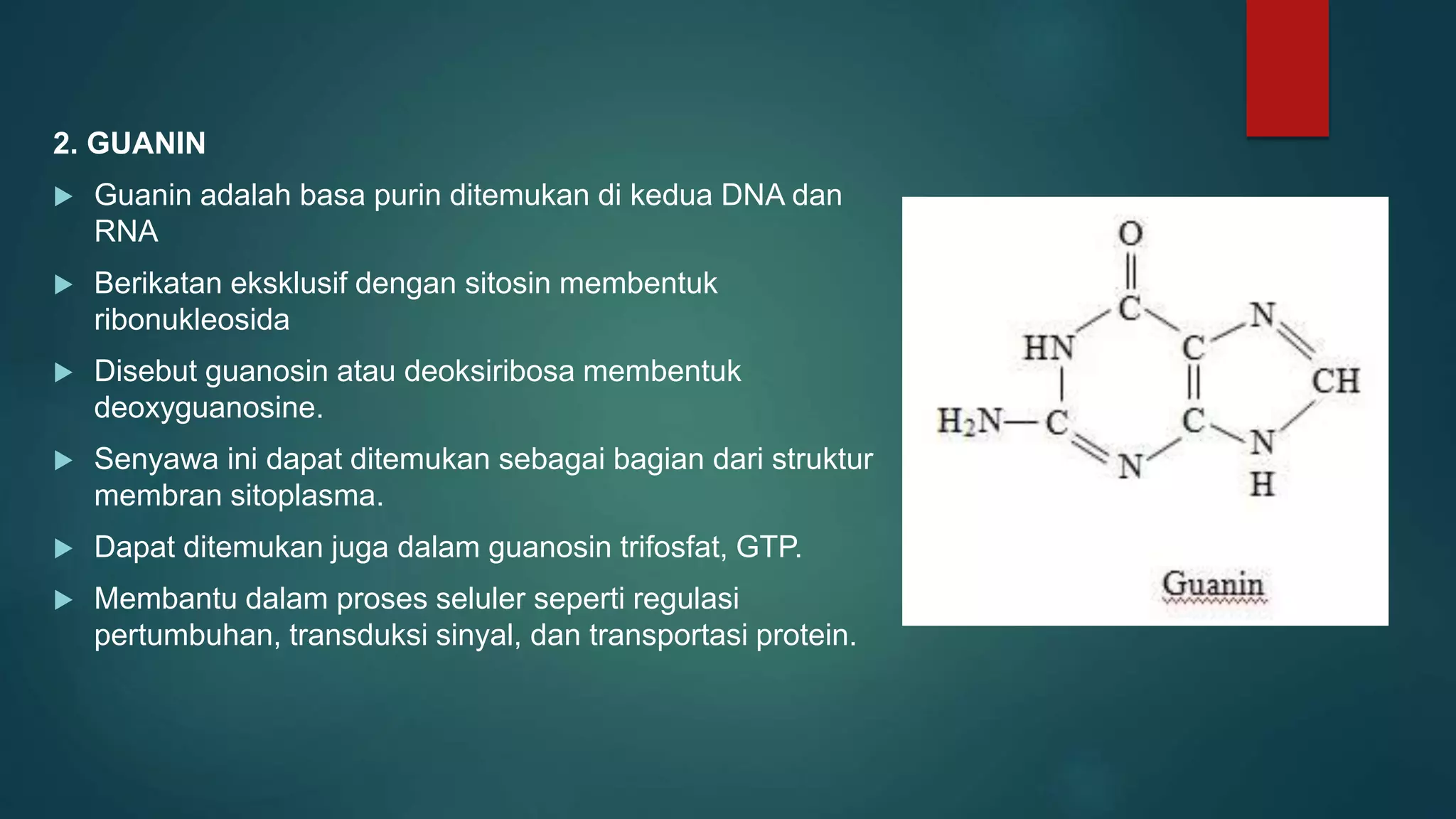 Ppt DNA | PPTX