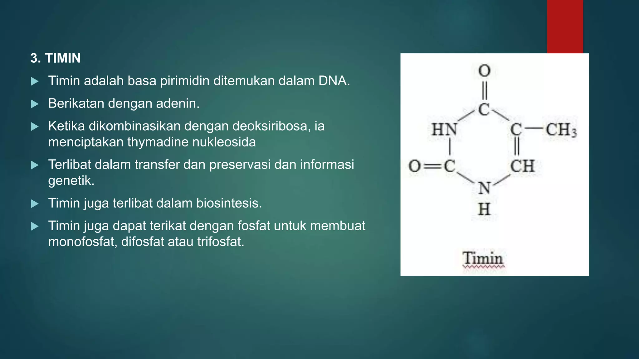Ppt DNA | PPTX