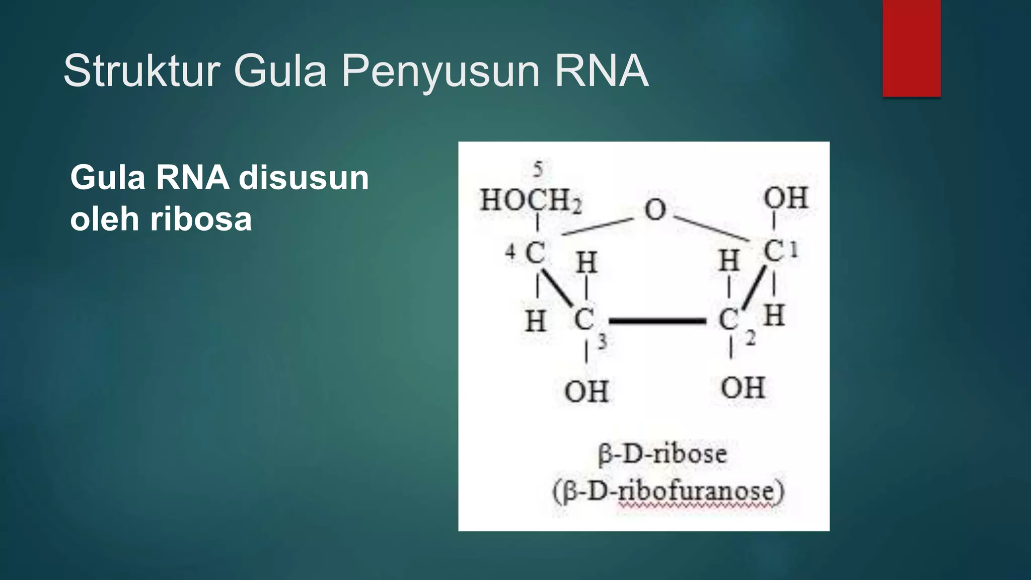 Ppt DNA | PPTX