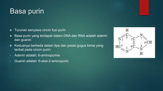 Ppt DNA | PPTX