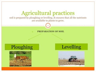 Agricultural practices and management class 8 | PPTX