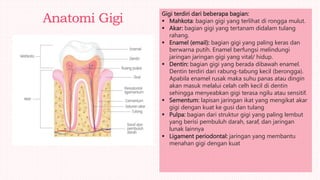 PPT DOKCIL.pptx