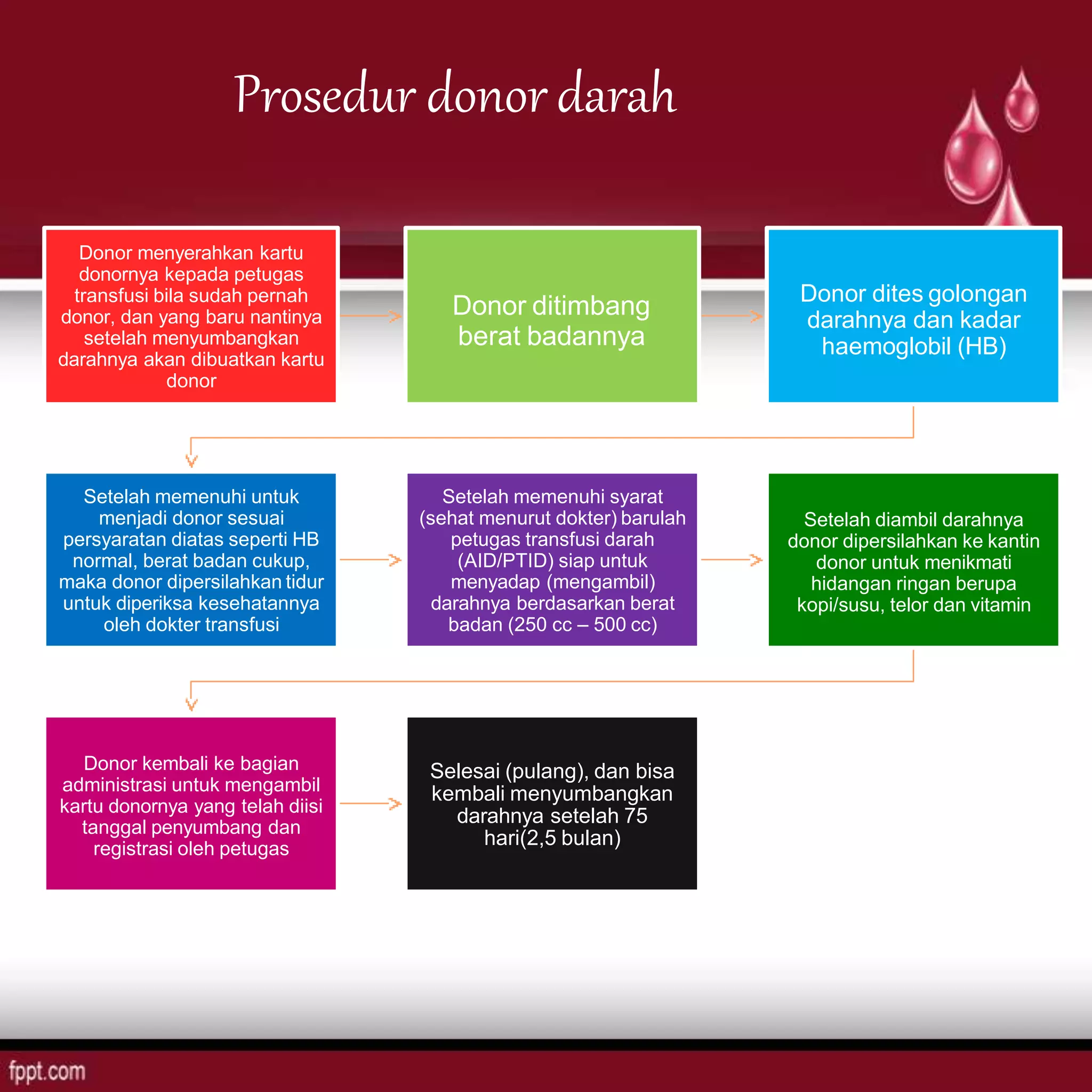 PPT_Donor_Darah dita.pptx