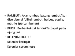 Ppt drivat kulit | PPT