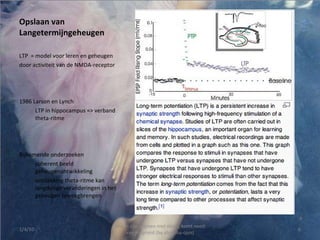 Dromen by Jonathan Winson | PPT