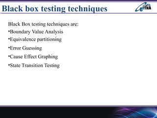 Dynamic Testing | PPT | Programming Languages | Computing