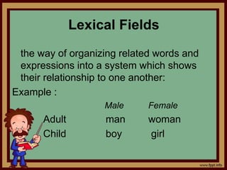 Lexical Relations | PPT