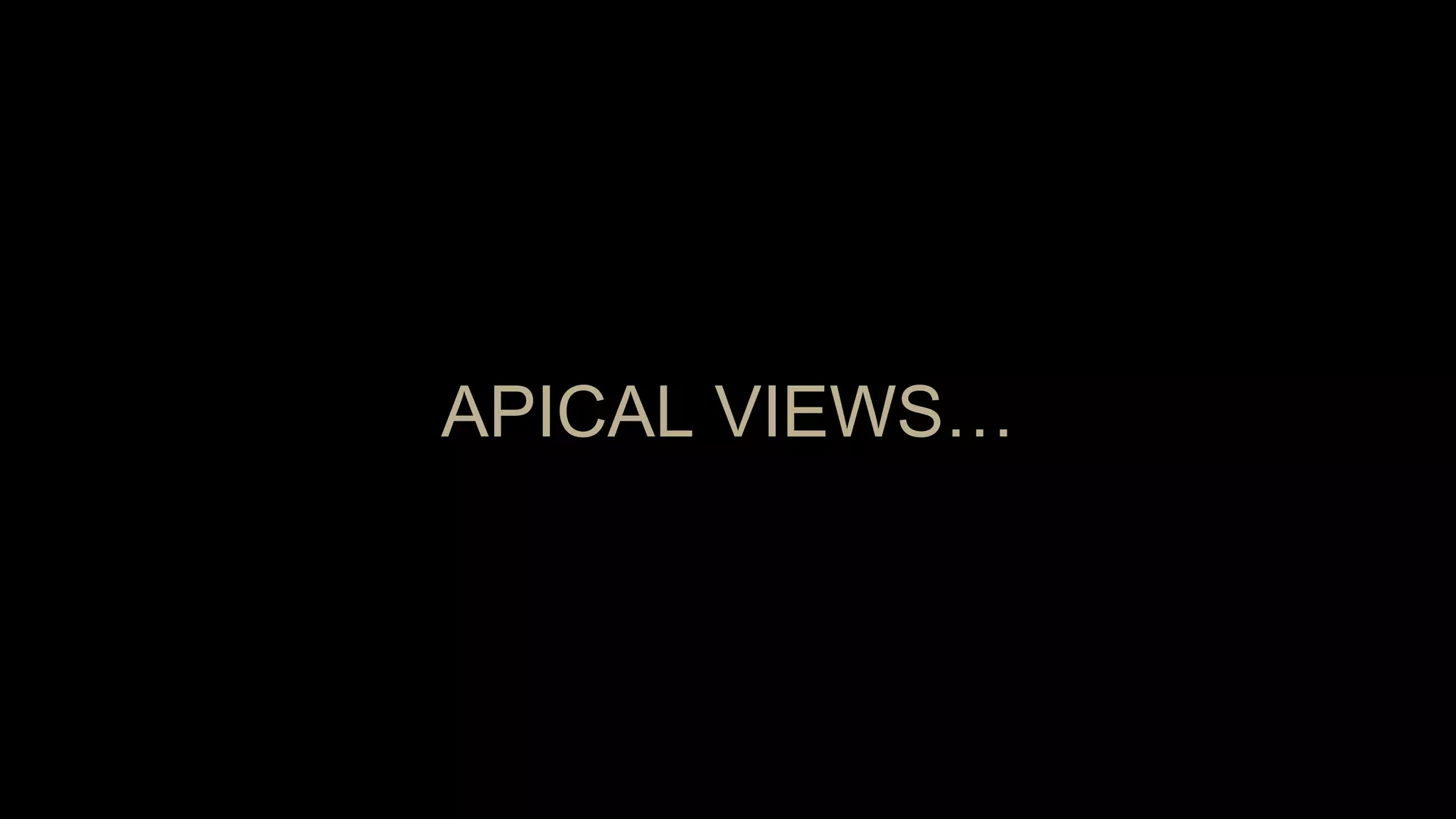 PEDIATRIC ECHOCARDIOGRAPHY: APICAL AND PARASTERNAL VIEWS | PPTX