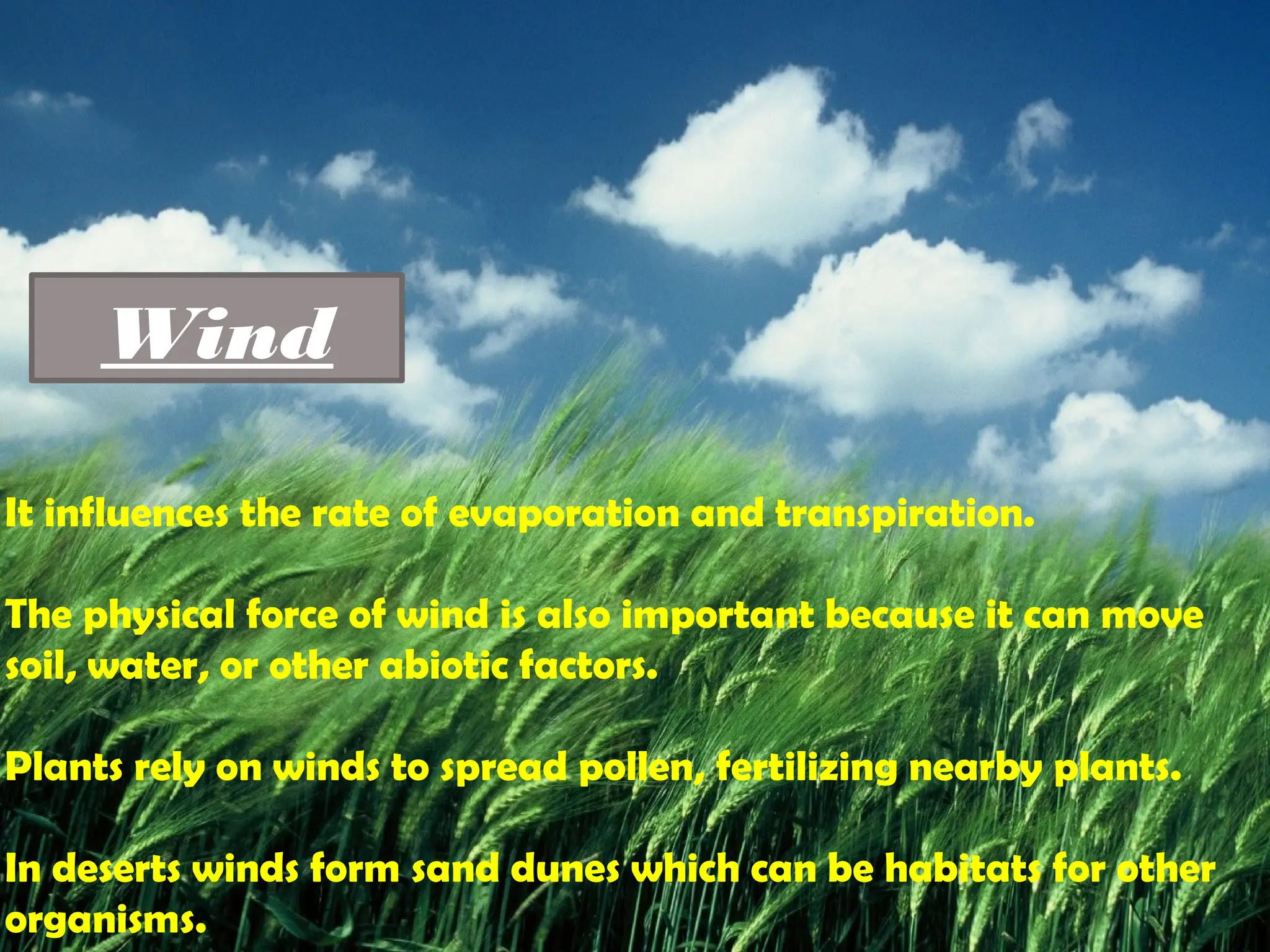 Soil Micro-organisms and their Growth in Ecosystem | PPTX