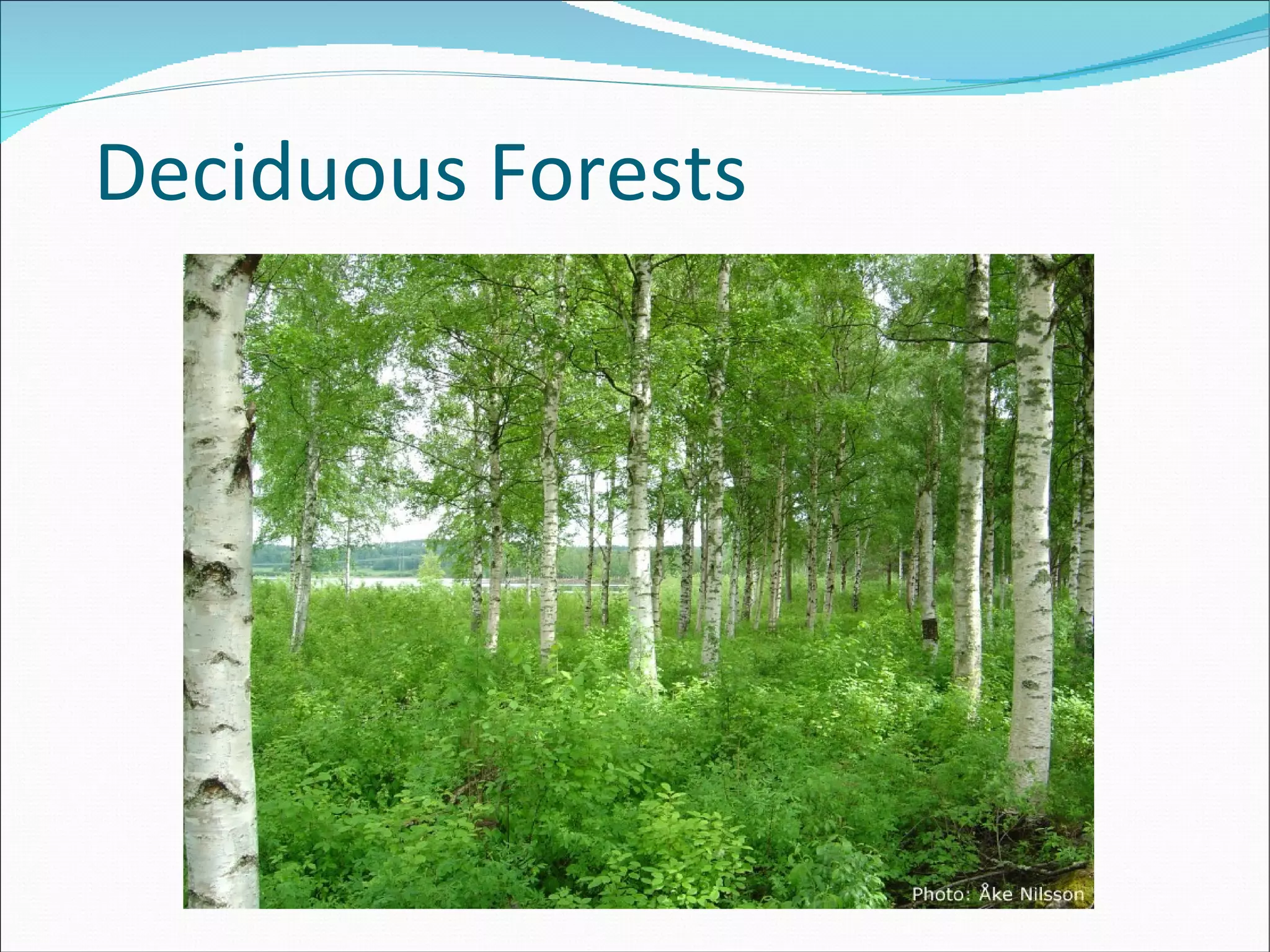 Ppt Ecology Biomes | PPT | Weather | Science