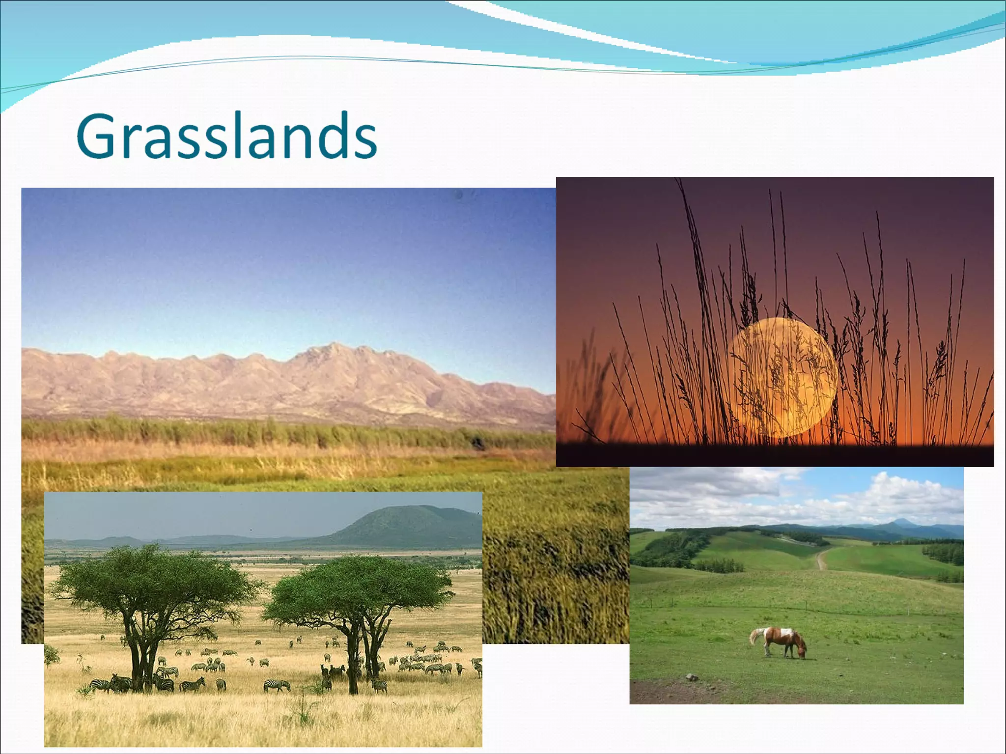 Ppt Ecology Biomes | PPT | Weather | Science