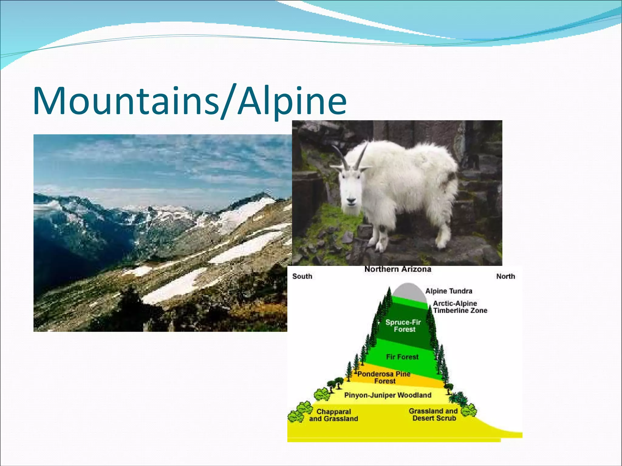 Ppt Ecology Biomes | PPT