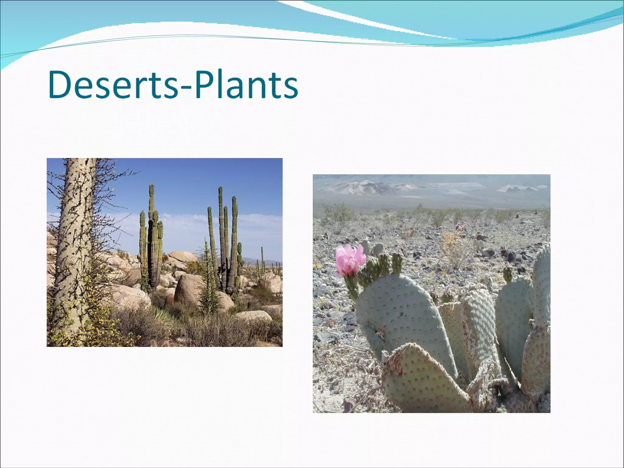 Ppt Ecology Biomes | PPT | Weather | Science