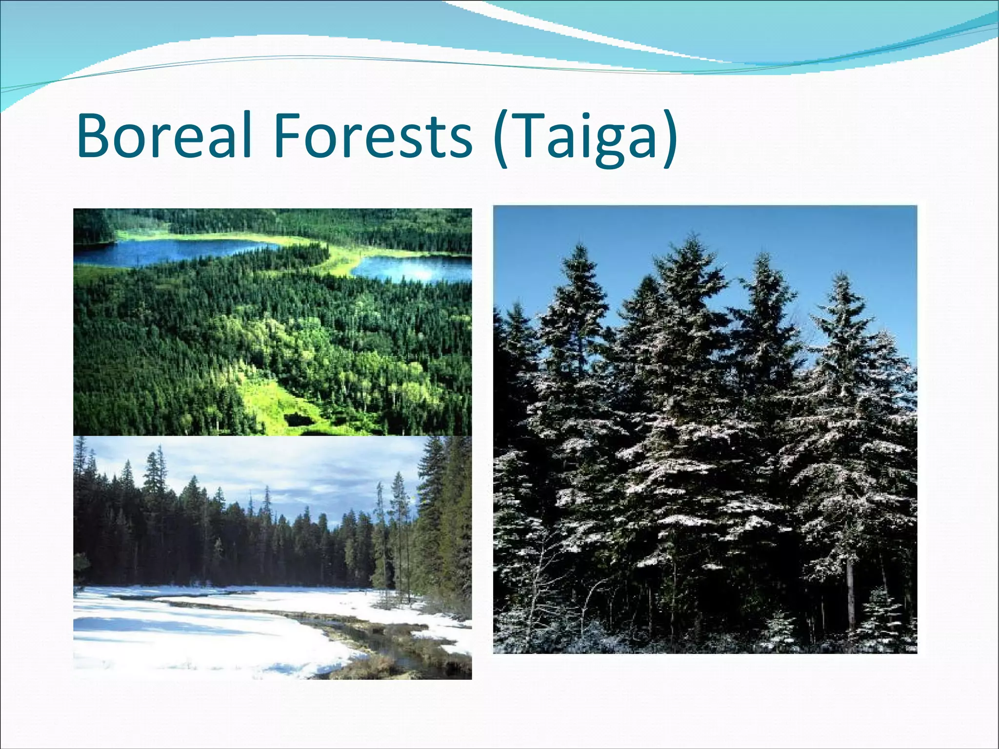 Ppt Ecology Biomes | PPT