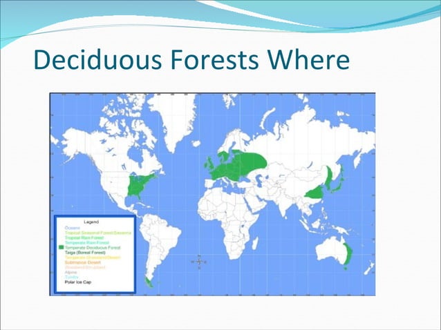 Ppt Ecology Biomes | PPT | Weather | Science