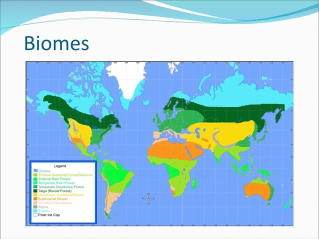 Ppt Ecology Biomes | PPT | Weather | Science